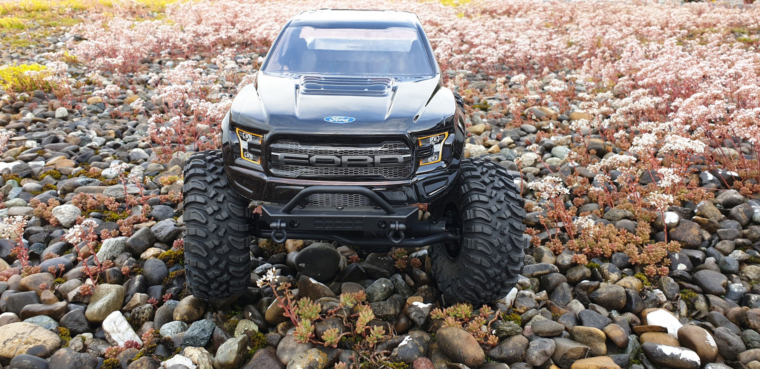 Ford Raptor – Crawler-Scaler